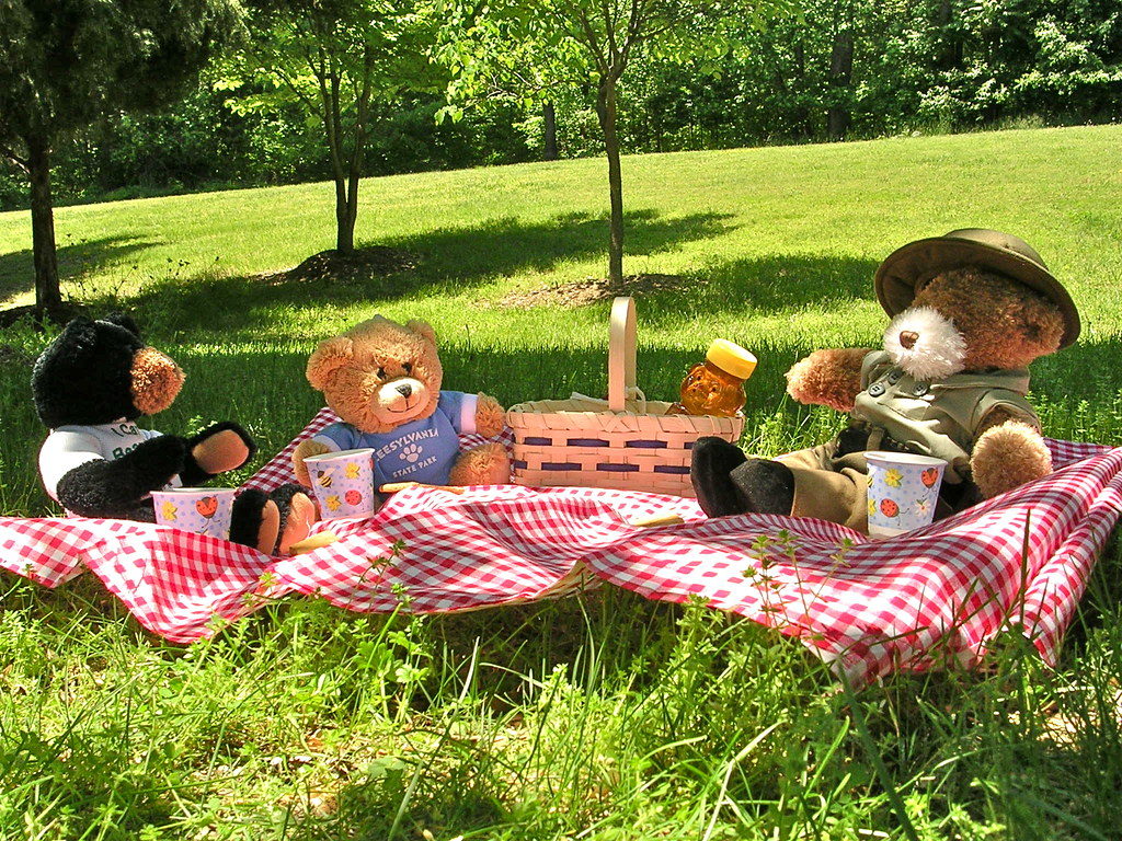 Today s The Day A Parent s Guide To Teddy Bear Picnic Ideas Mums In Today s The Day A Parent s Guide To Teddy Bear Picnic Ideas Mums In