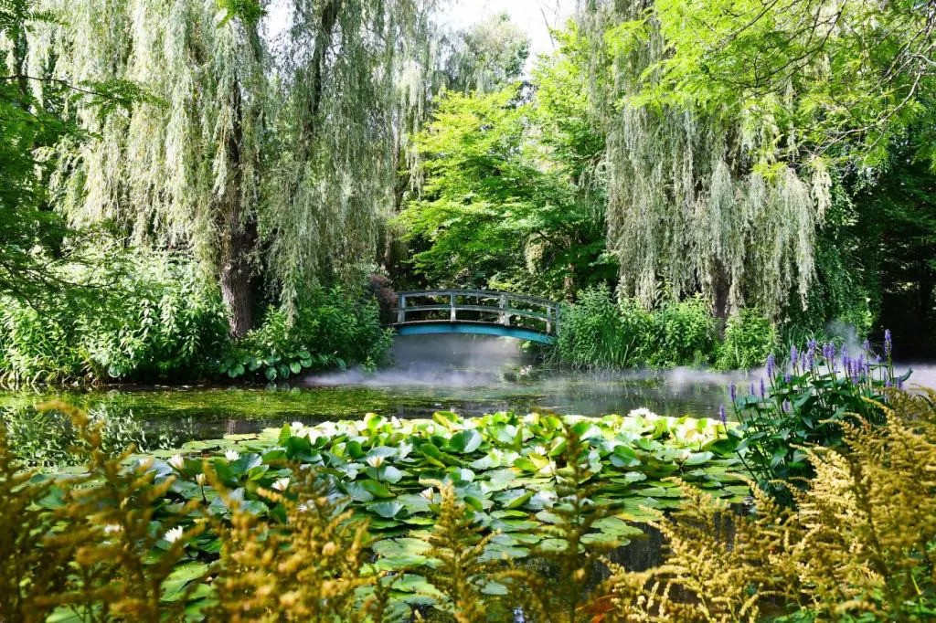 Exploring the Top Botanical Gardens in Jersey - Mums in Jersey