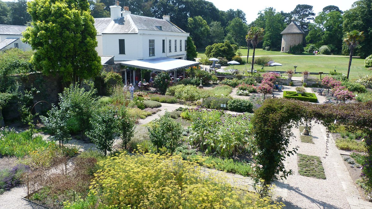 The Botanic Gardens at Samarès Manor - Mums in Jersey
