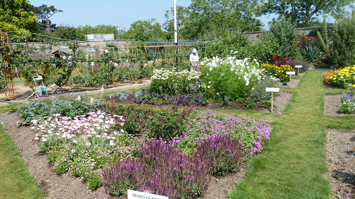 The Botanic Gardens at Samarès Manor - Mums in Jersey